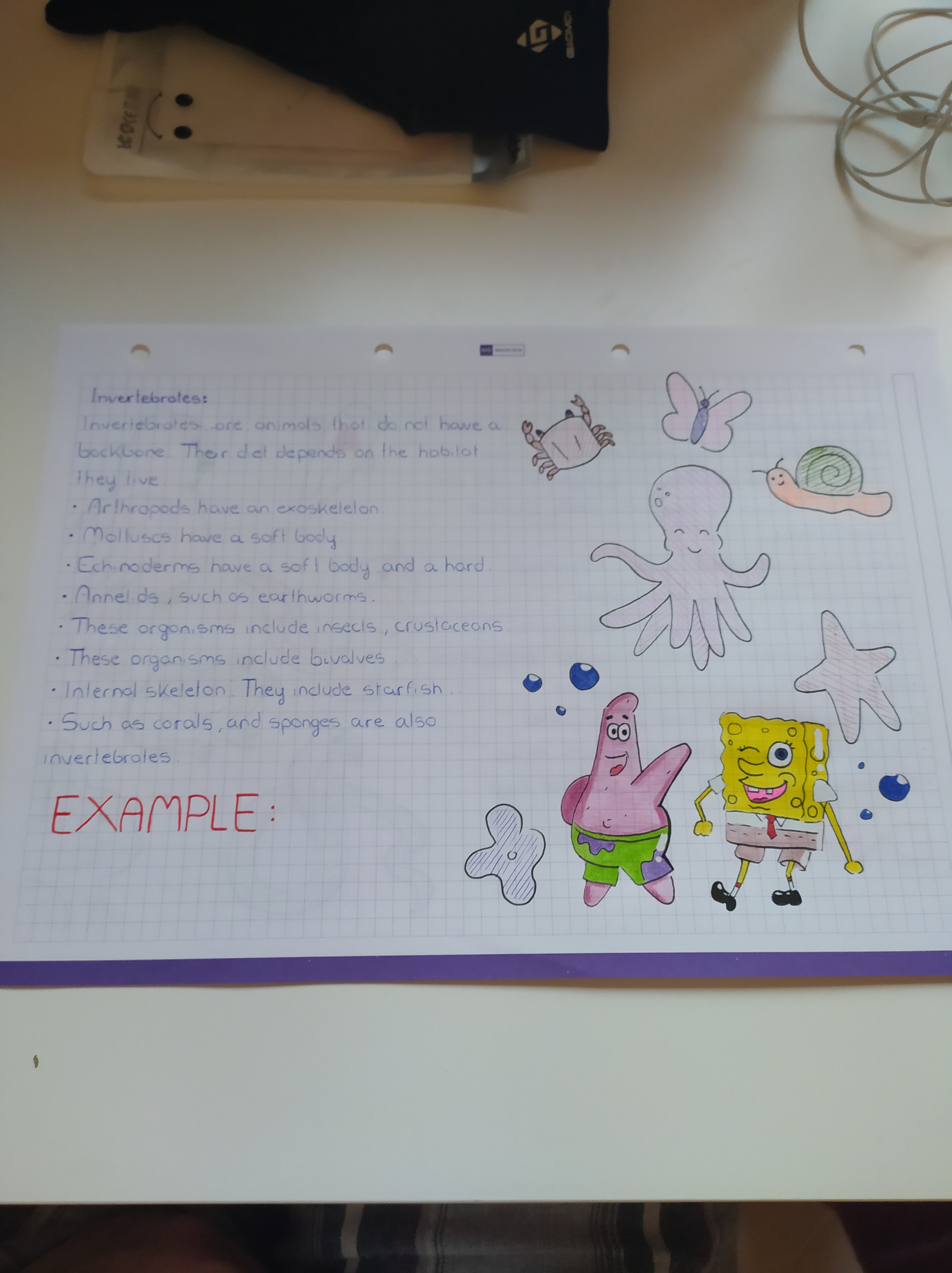 Mind Map! – Pasamonte 6th Grade Blog